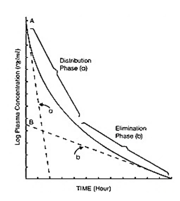 Understanding Pharmacokinetics and Pharmacodynamics - Nursing CE