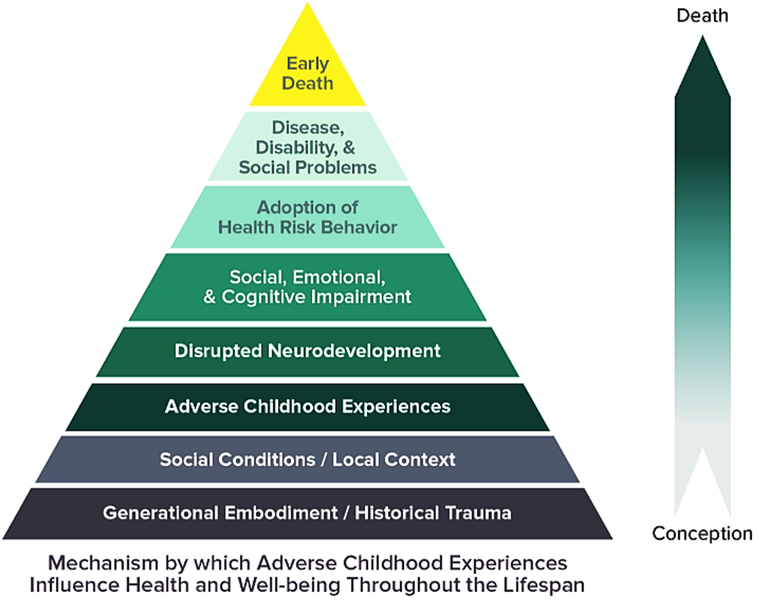 2025 NYSED Identification And Reporting Of Child Abuse And Maltreatment ...